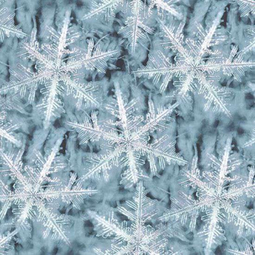 Snowfall From Hoffman Fabrics - 1/2 Yard "frost" Snowflakes on Powder ...