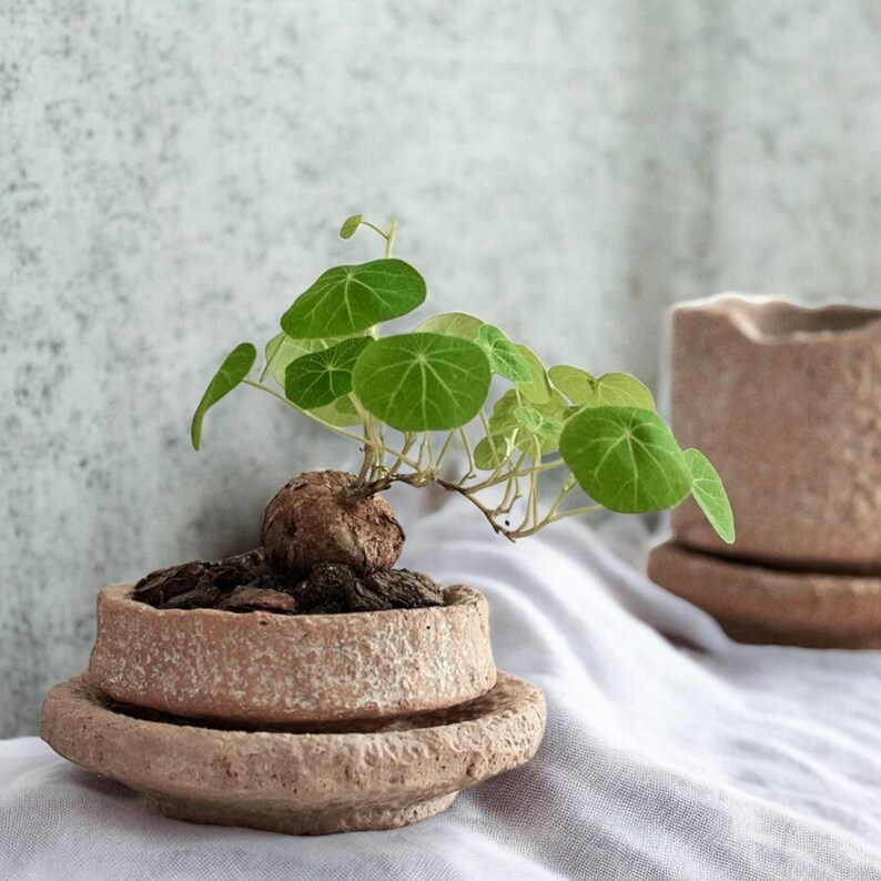Ceramic Porcelain Pots, Texture Flower Pot, Artificial Flower ...