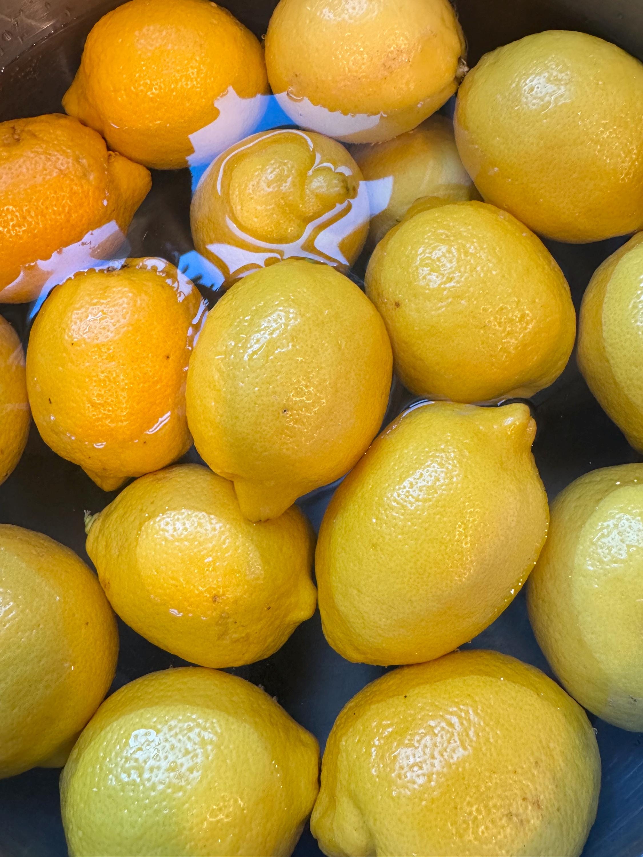 Dehydrated Lemon Slices - Etsy