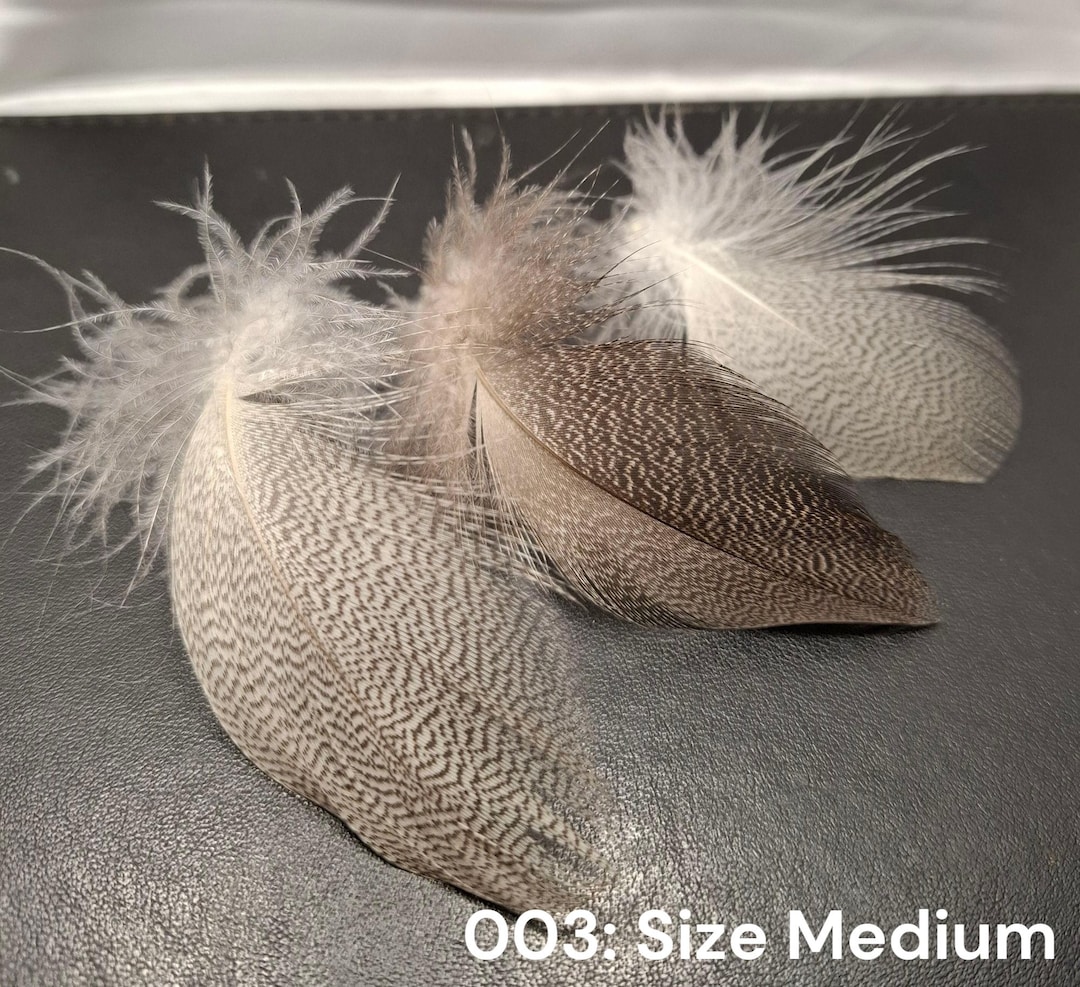 Mallard Duck Chest Feathers - Etsy