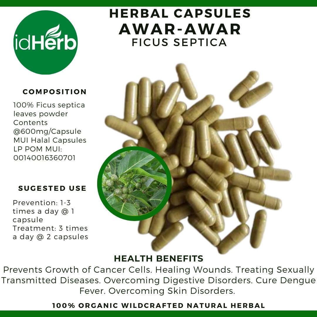 100-500 CAPSULES Septic Fig Leaves /hauili Fig Tree / Ficus Septica ...