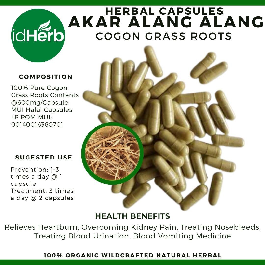 100-500 CAPSULES Cogon Grass Roots Satintail Blady Grass Imperata ...