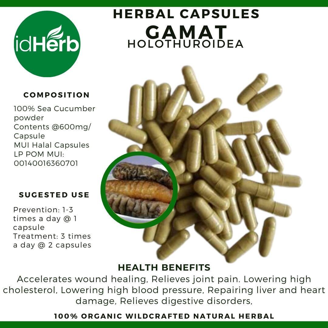 100-500 Capsules of Pure Sea Cucumber Gamat Holothuroidea 100% Organic ...