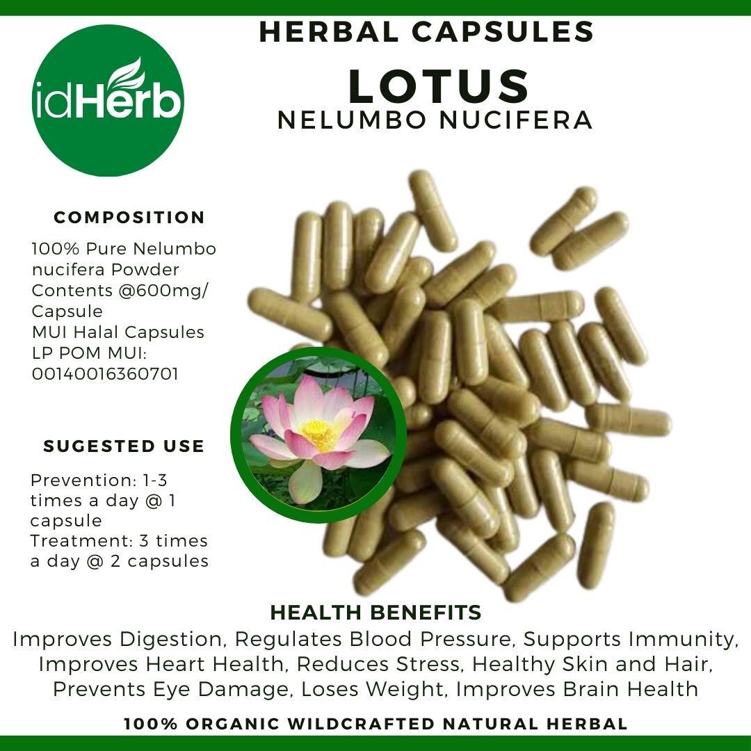 100-500 Capsules of Pure Lotus Leaves Indian Lotus / Sacred Lotus ...