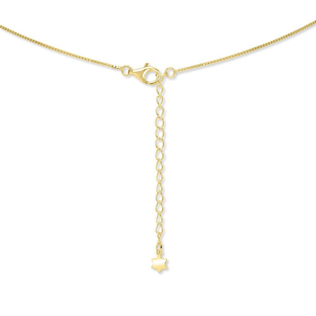 Map of Israel Necklace, Gold Israel Pendant, Star of David Jewelry ...