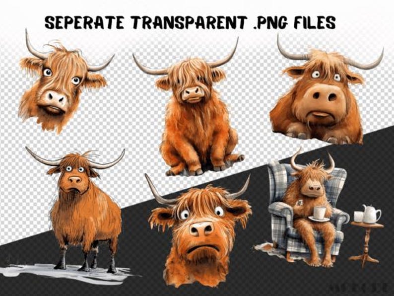 Funny Highland Cow Clipart Bundle: Silly Cows PNG (digital Download) - Etsy