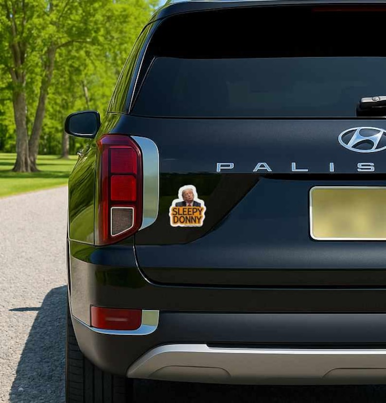 Sleepy Donny Sticker Pack, Magnet, or Vinyl Decal | Funny Anti Trump ...