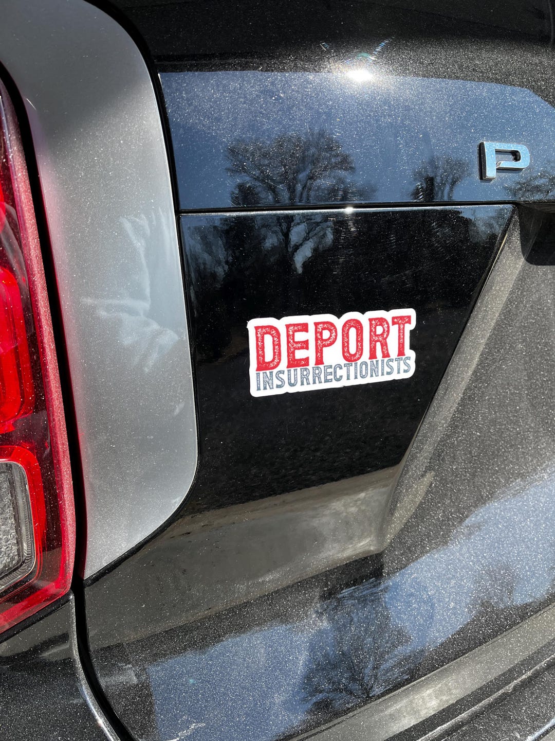 Deport Insurrectionists Magnet, Car Decal, Democrat, Bumper Sticker - Etsy