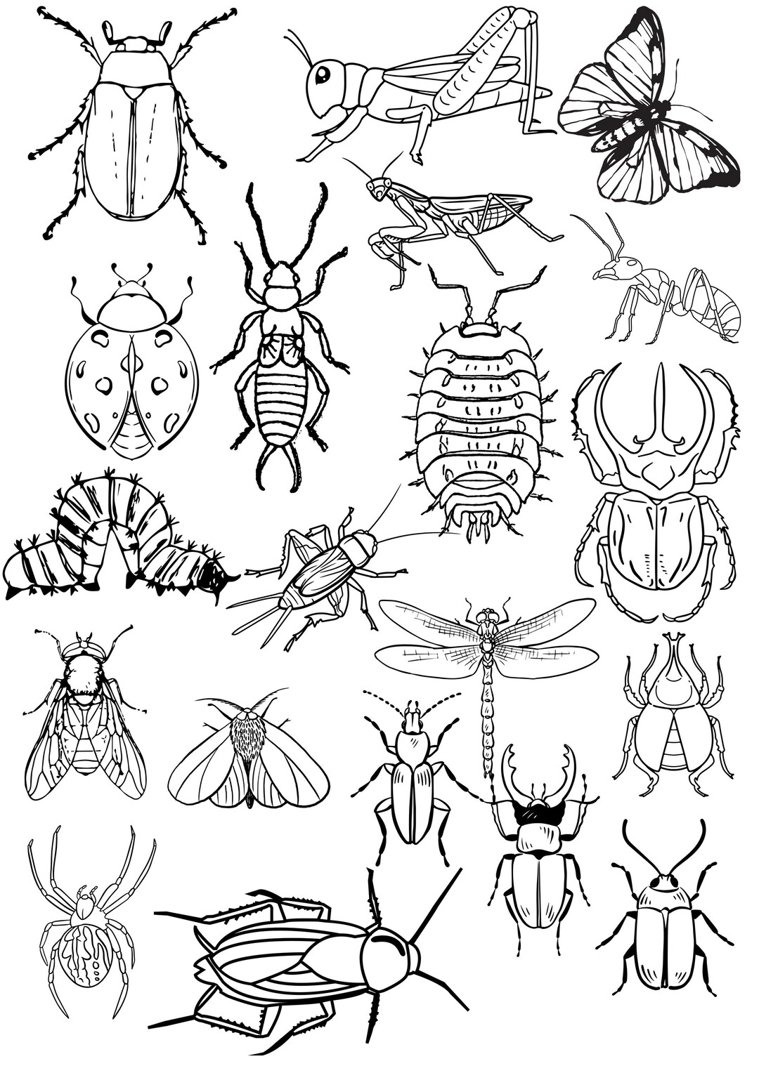 Insect Coloring Pages to Print, Bugs, Charlotte Mason, Preschool ...