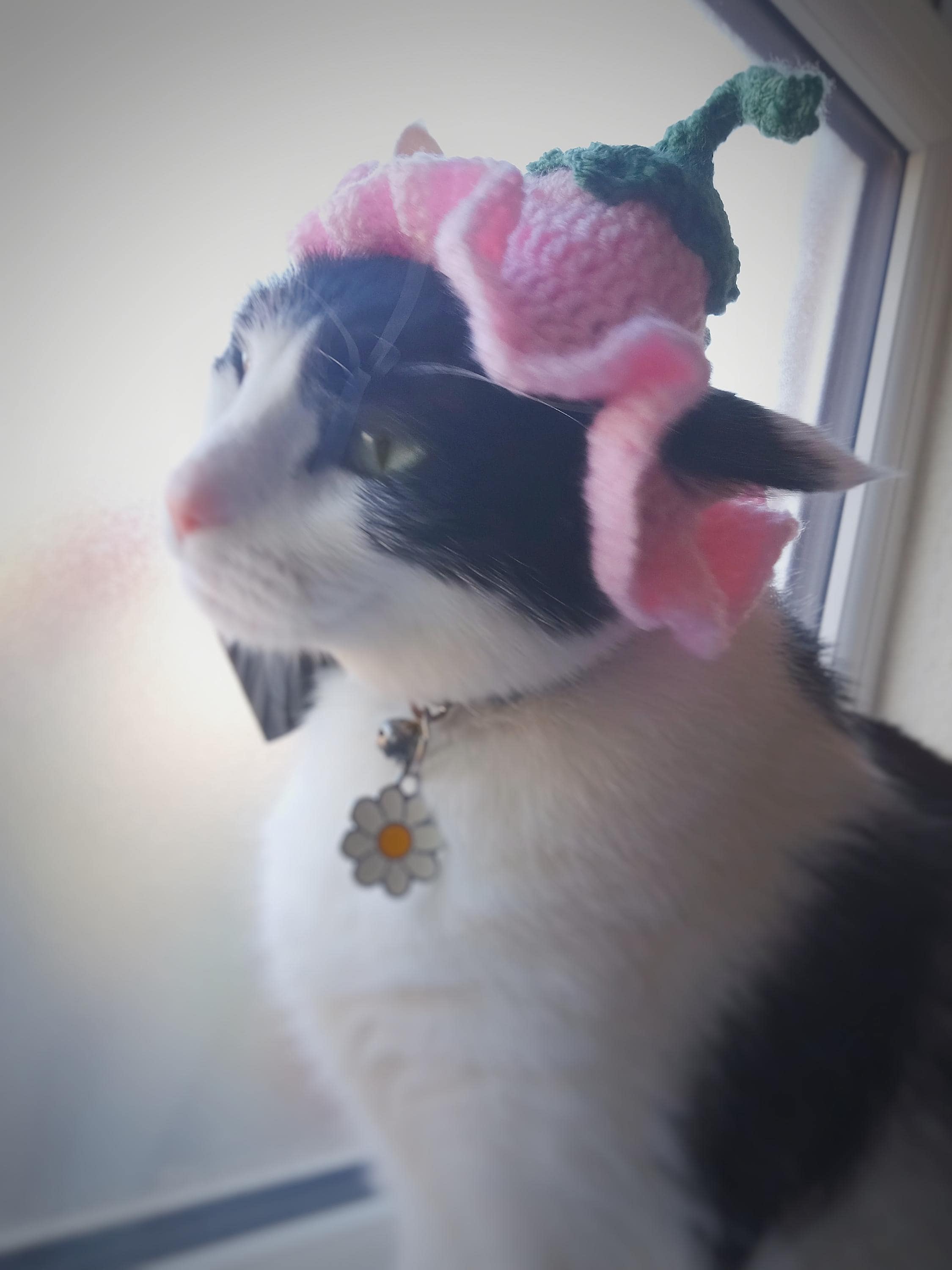 Crochet Tulip Cat Bucket Hat PDF PATTERN ONLY Adjustable Stem (also ...