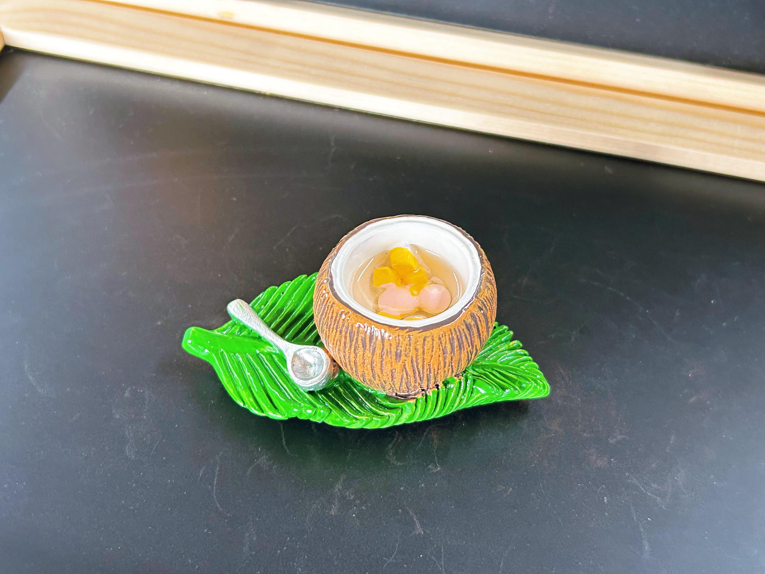 Miniature Coconut Water Fridge Magnet, Elegant and Unique Tropical ...