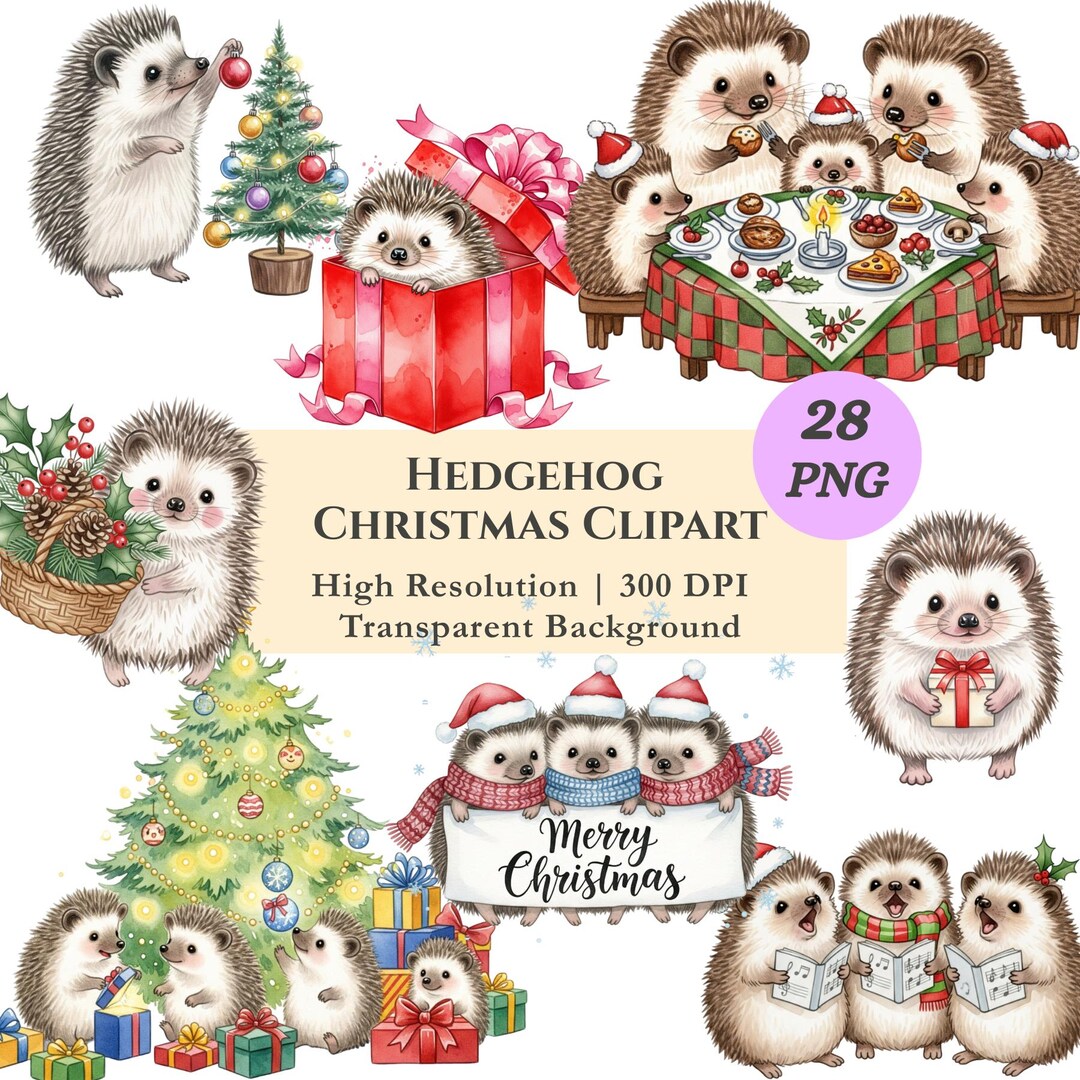Cute Hedgehog Christmas Clipart Digital Download Watercolor Woodland ...