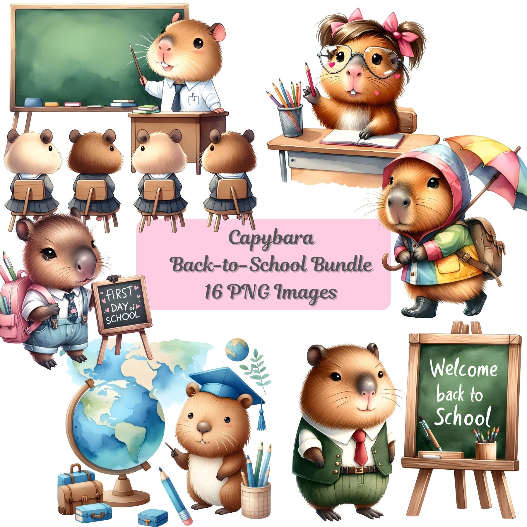Capybara Back to School Clipart Watercolor Capybara Student PNG Cute ...