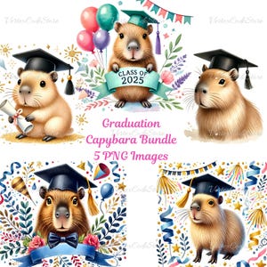 Transparent Graduation Capybara Clipart Bundle, 5 PNG Capybara ...