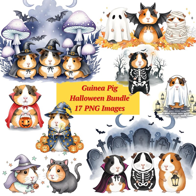 Guinea Pig Template - Etsy