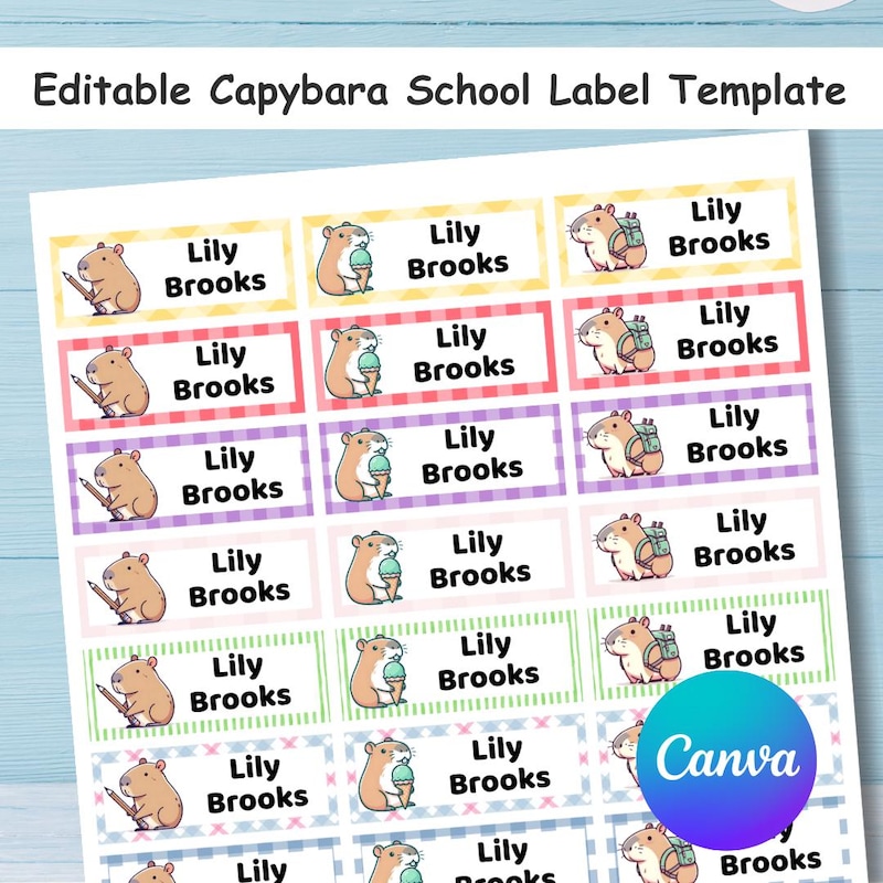 Capybara School Name Tags - Etsy