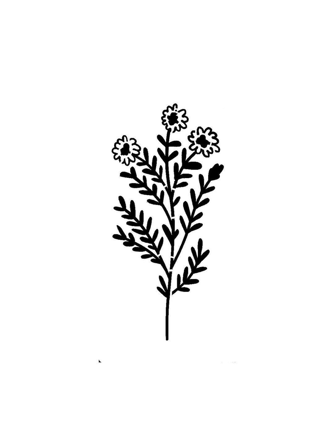 Really Great Stencils, Tall Daisies Stencil, 4x8", Layering, Reusable ...