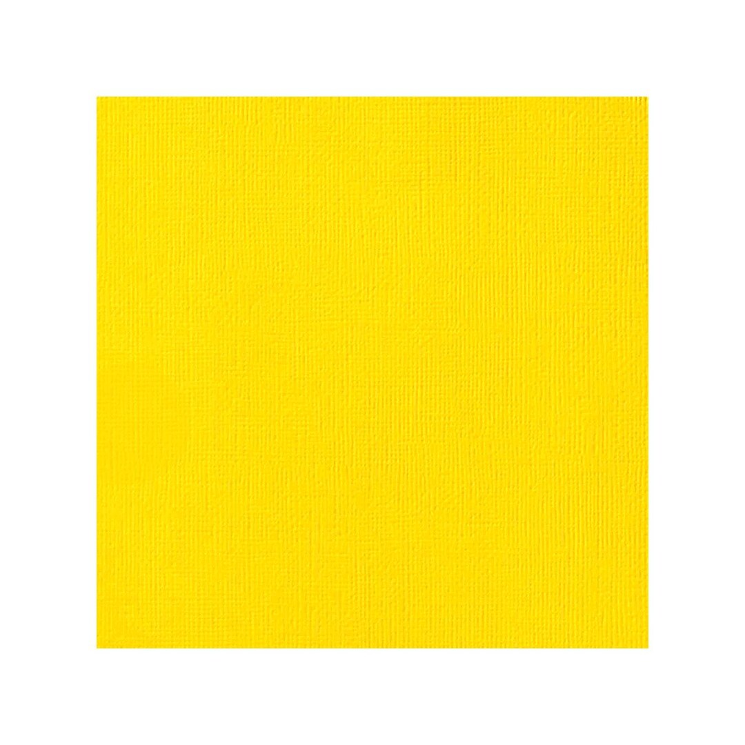 AC Cardstock, Primaries, Lemon Yellow Cardstock, 2 X 12', Texture, 80 ...