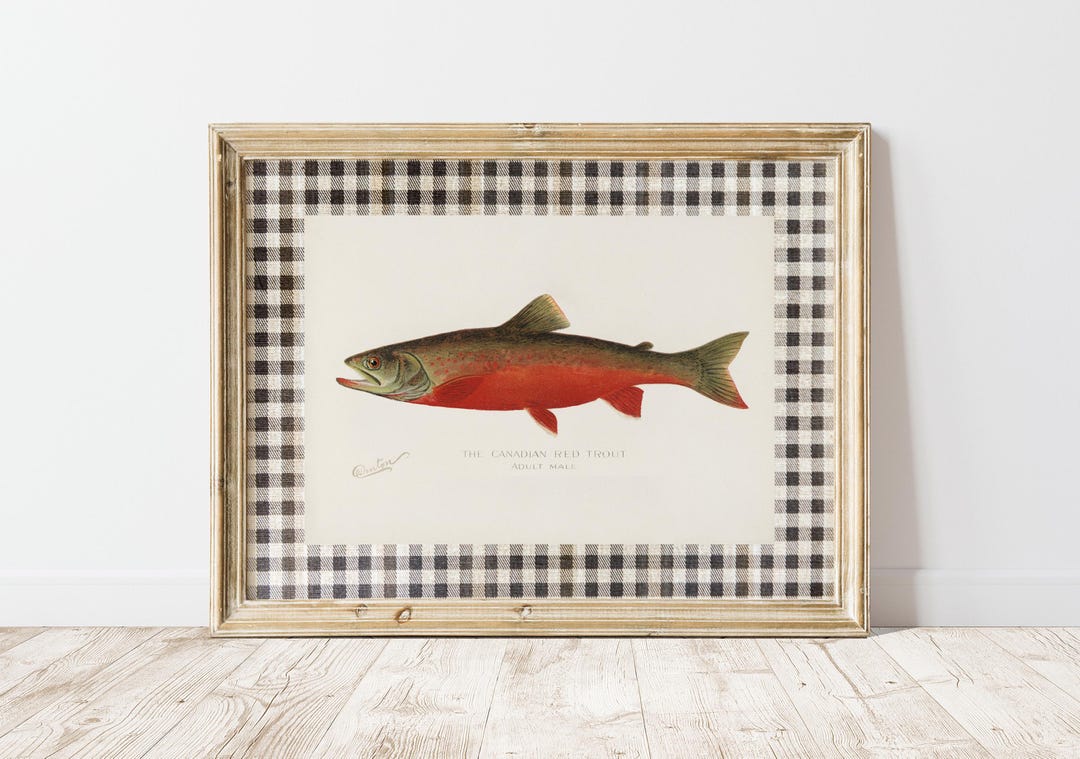 Vintage Fish Poster, Digital Download Wall Art, Boy Nursery Fishing ...