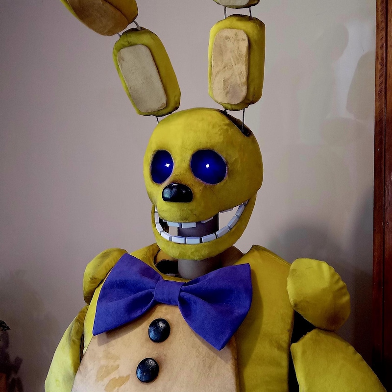 Spring Bonnie Costume - Etsy