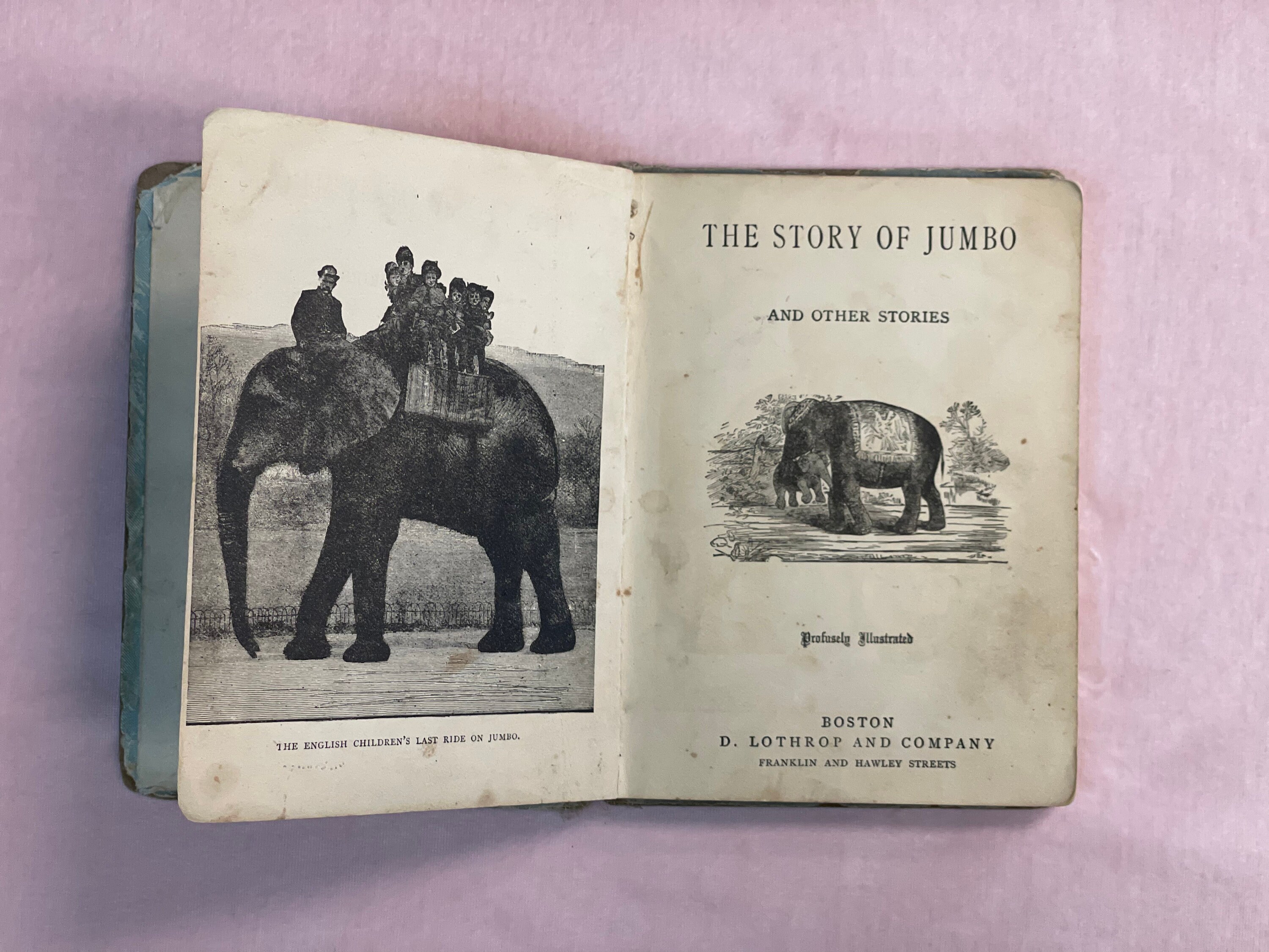 The Story of Jumbo First Edition Rare - Etsy