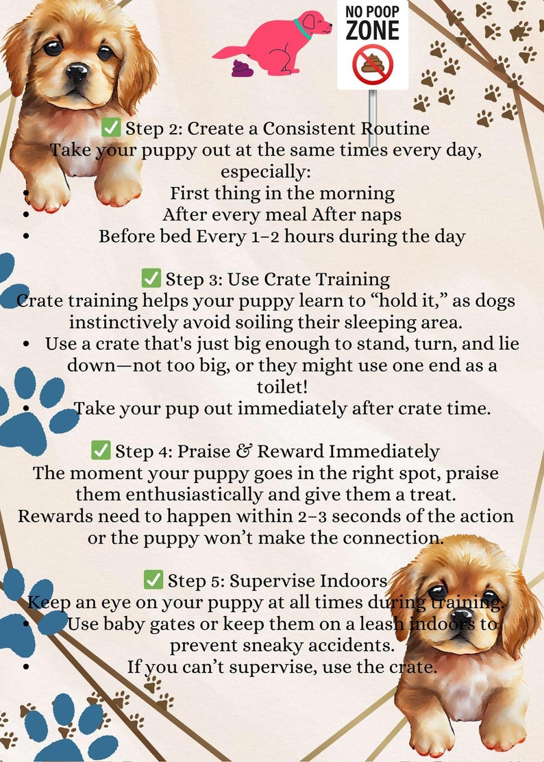 How to Potty Train a Puppy Guide | Step-by-step Puppy Toilet Training ...