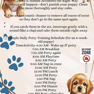 How to Potty Train a Puppy Guide | Step-by-step Puppy Toilet Training ...