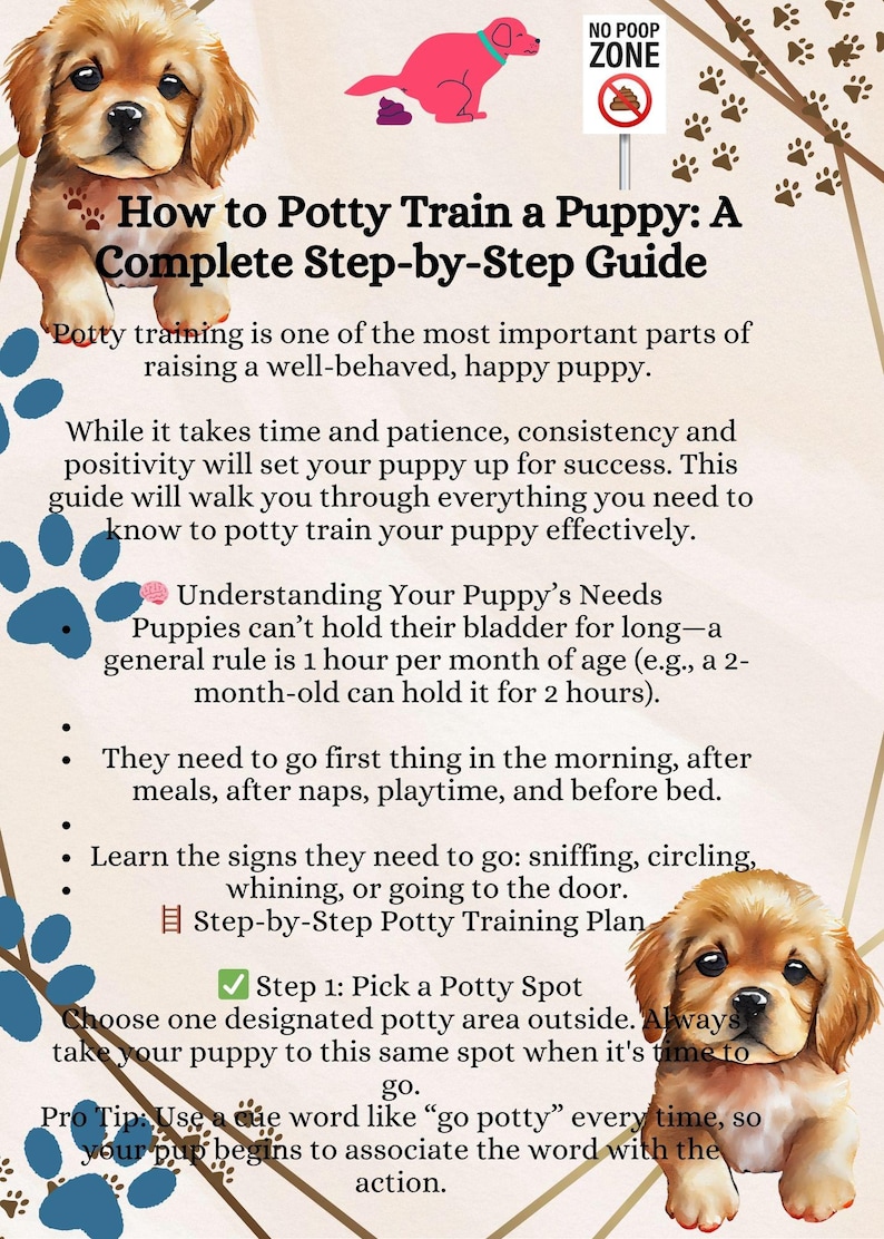 How to Potty Train a Puppy Guide | Step-by-step Puppy Toilet Training ...