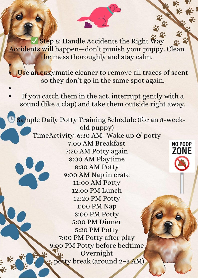 How to Potty Train a Puppy Guide | Step-by-step Puppy Toilet Training ...