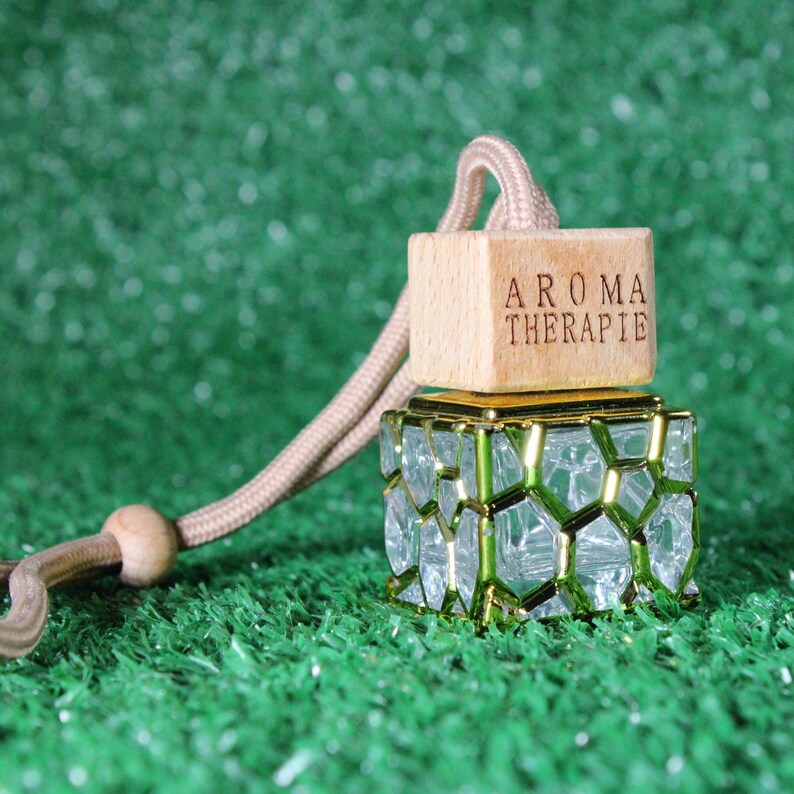 Hanging Car Diffuser: Refillable Essential Oil Perfume Bottle - Etsy