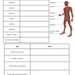 EKG Guided Notes | NHA CET Study Companion | Printable Study Guide - Etsy