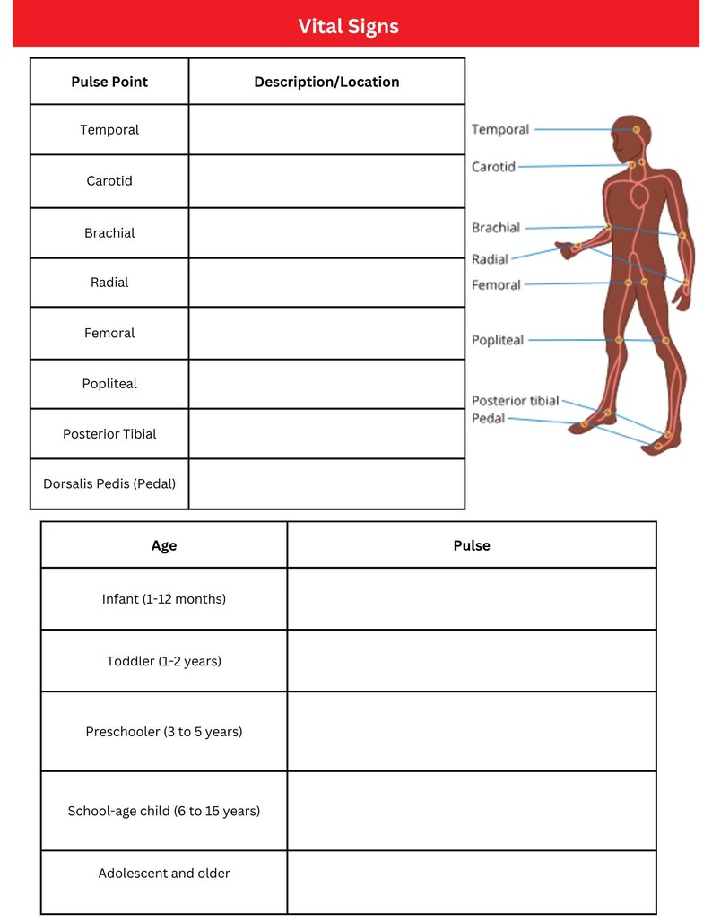 EKG Guided Notes | NHA CET Study Companion | Printable Study Guide - Etsy