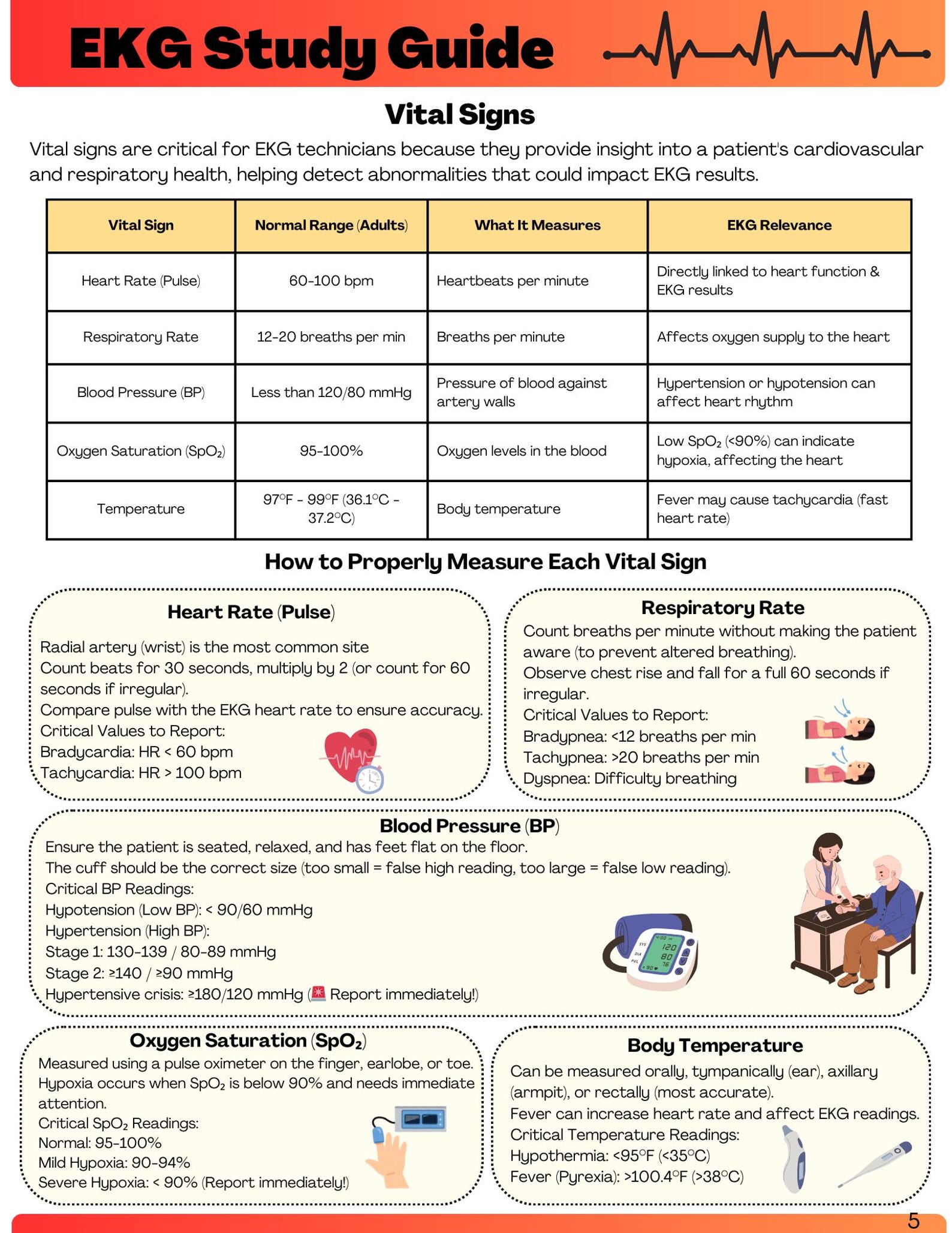 EKG Study Guide - Comprehensive Companion for NHA Exam & Allied Health ...
