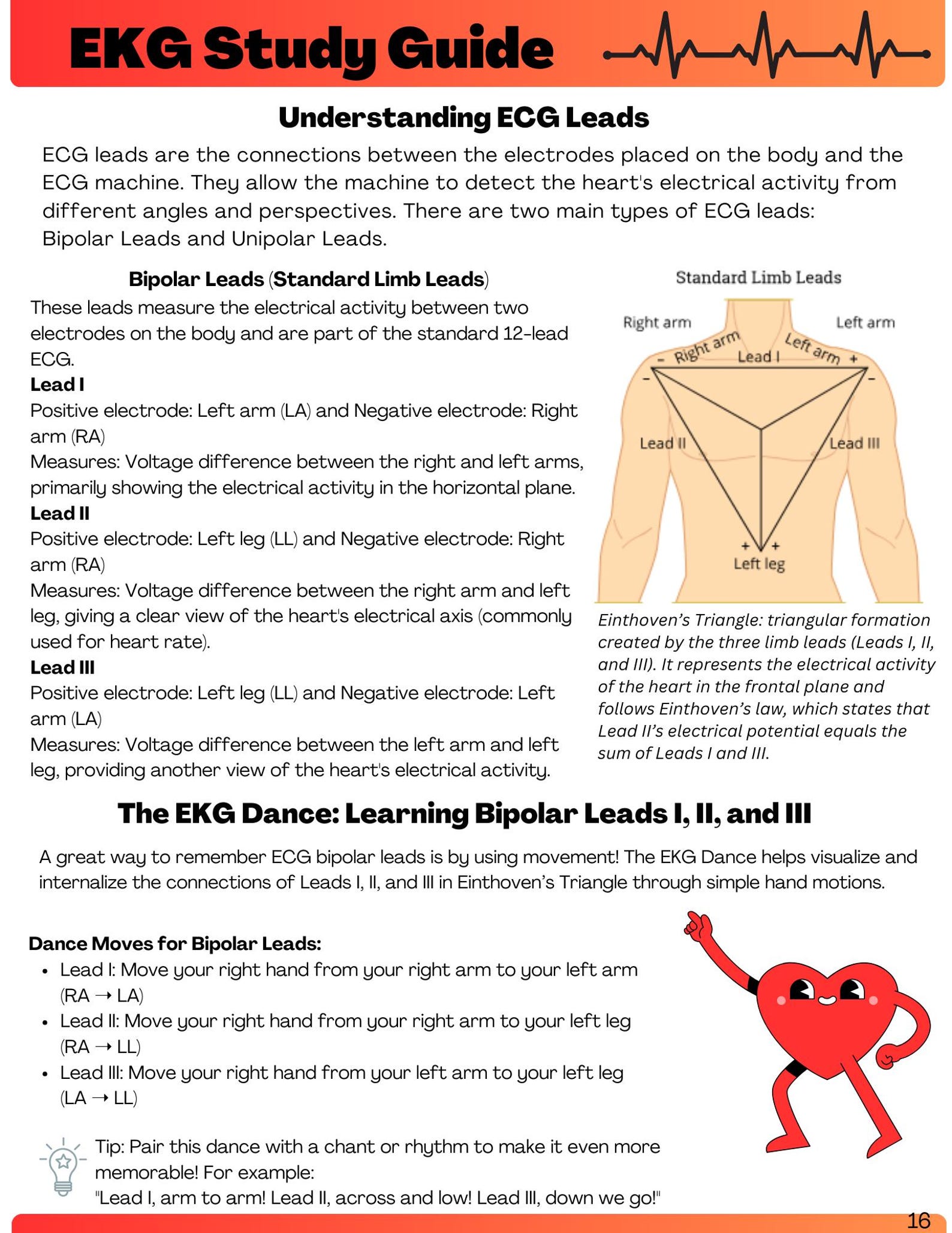 EKG Study Guide - Comprehensive Companion for NHA Exam & Allied Health ...