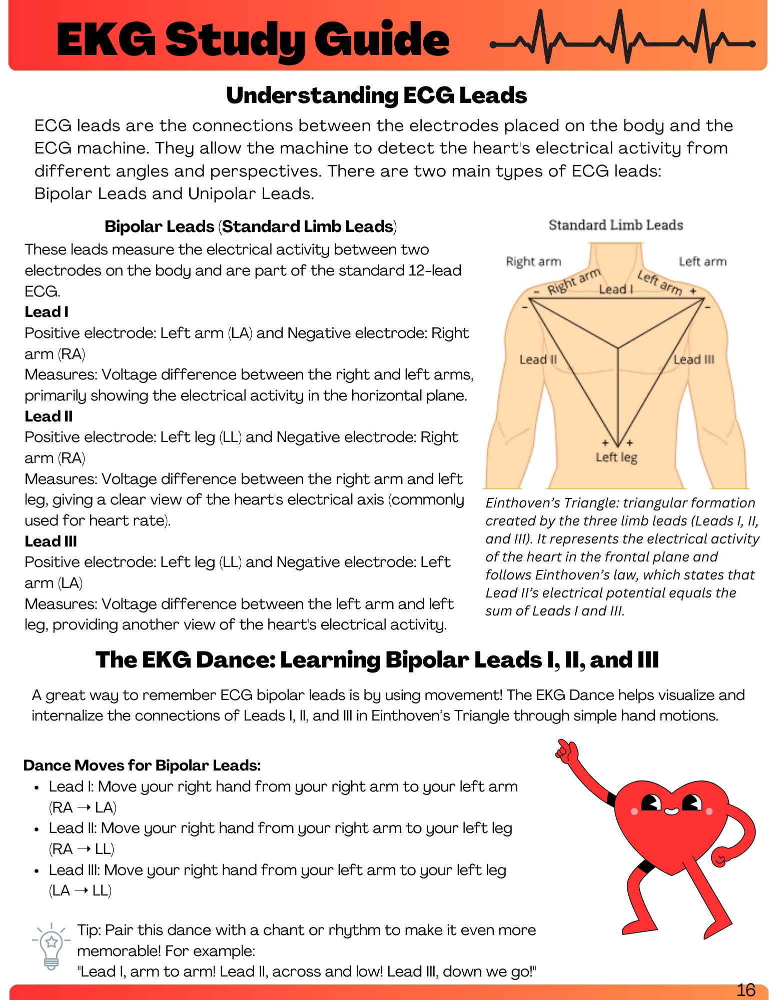 EKG Study Guide - Comprehensive Companion for NHA Exam & Allied Health ...