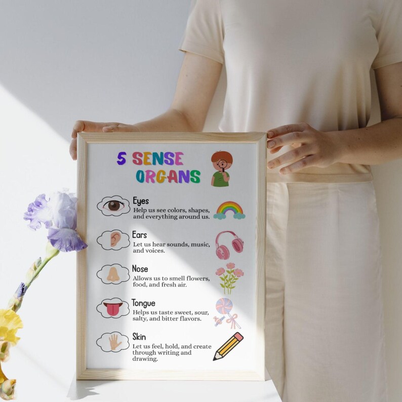 5 Senses Poster: Educational Classroom & Homeschool Wall Art (digital Download - Etsy