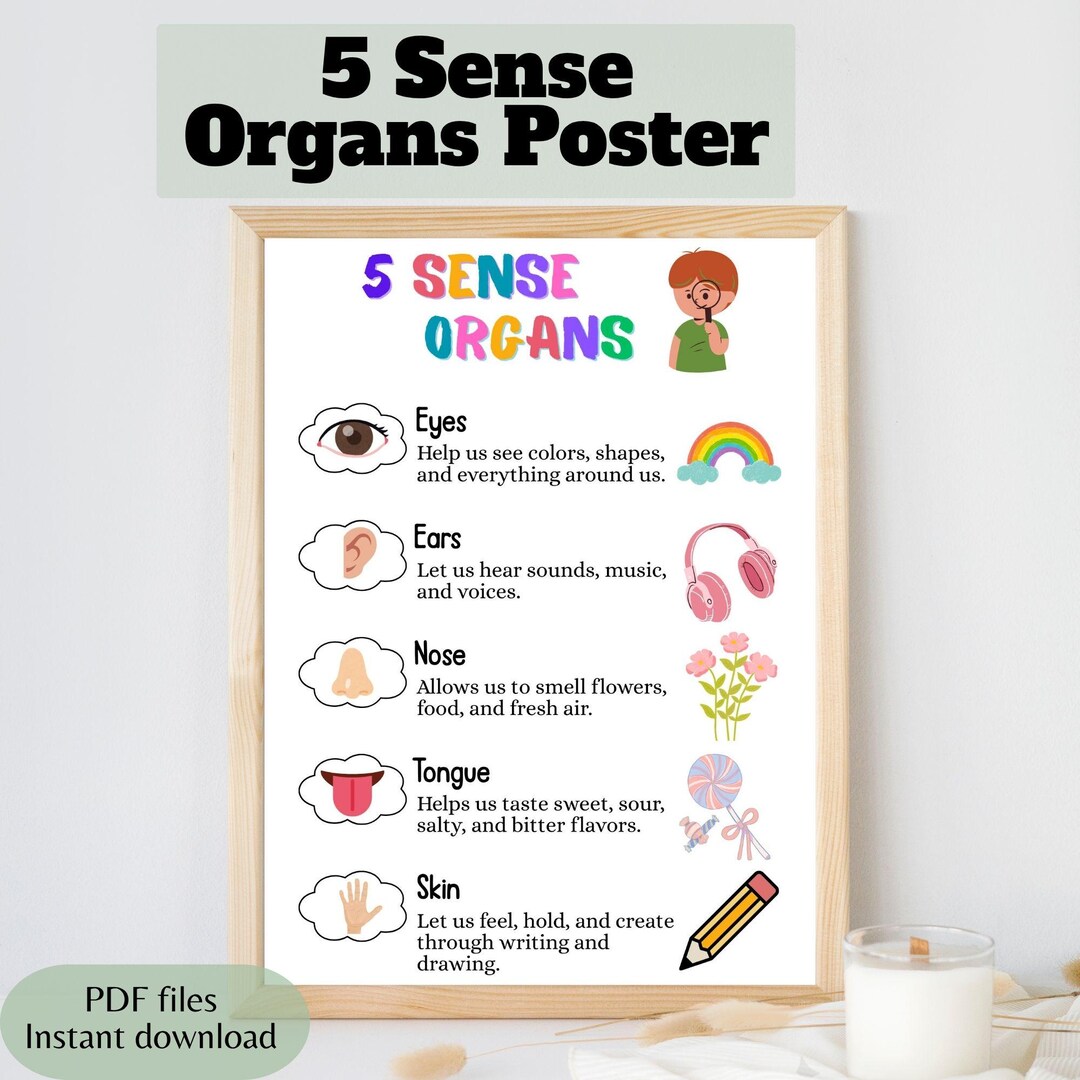 5 Senses Poster: Educational Classroom & Homeschool Wall Art (digital ...