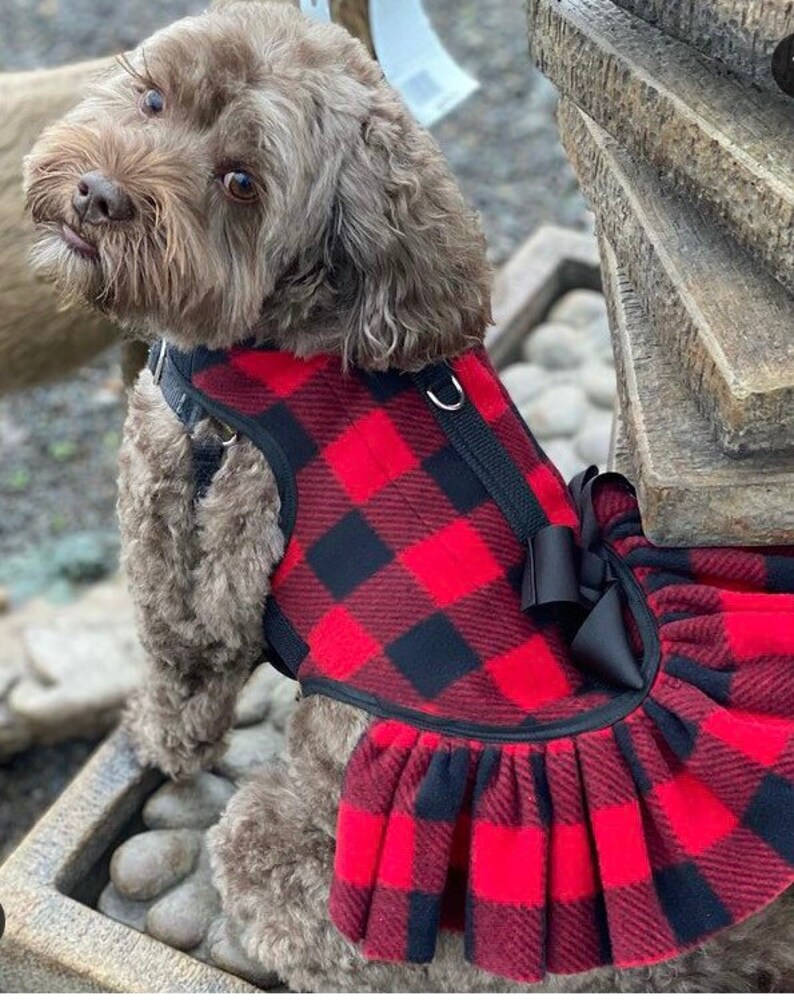 Buffalo Check Fleece Small Dog Ruffle Harness Dog Harnesses - Etsy