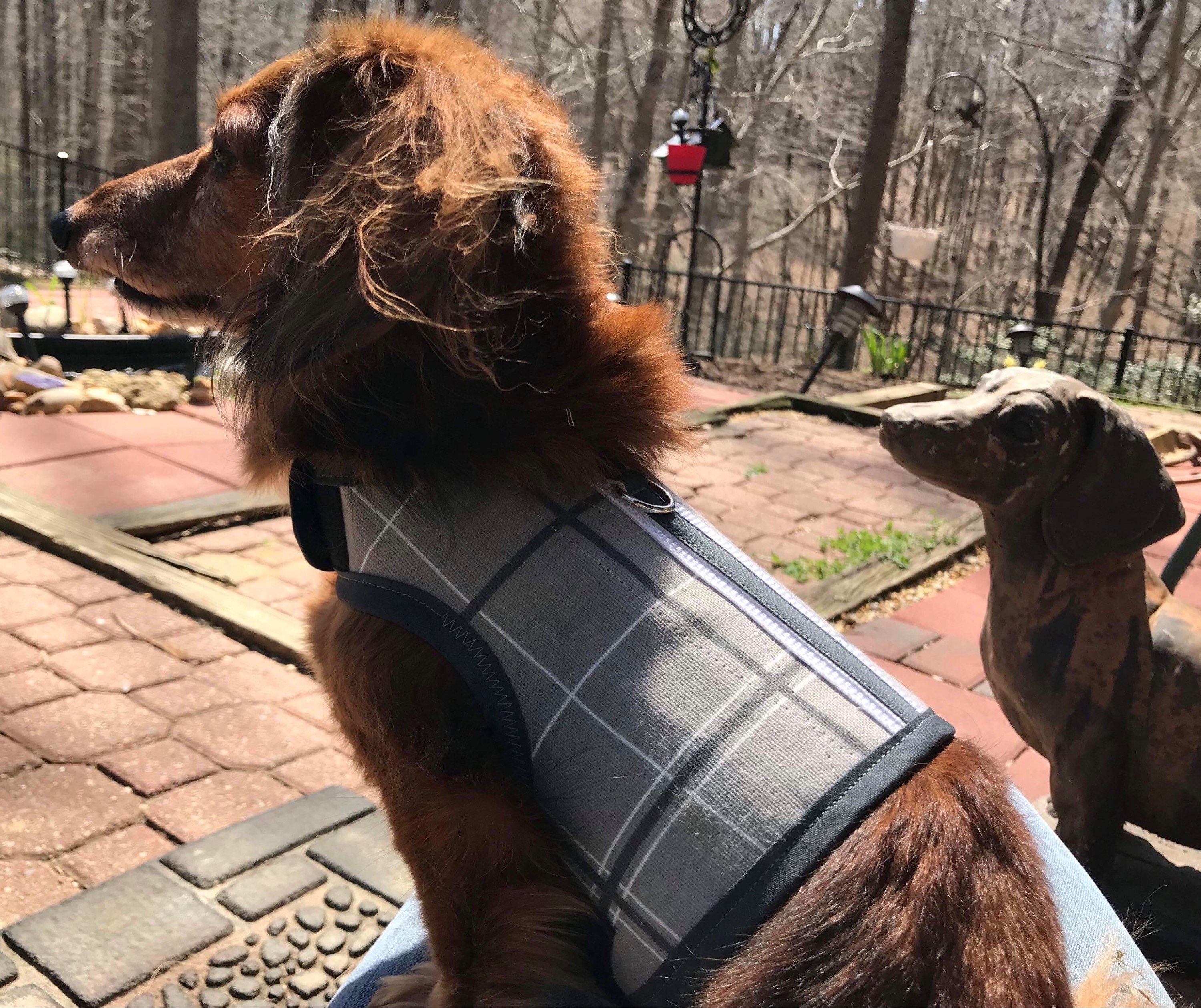Window Pane Plaid Small Dog Harness Made in USA, Dog Harnesses, Pet ...