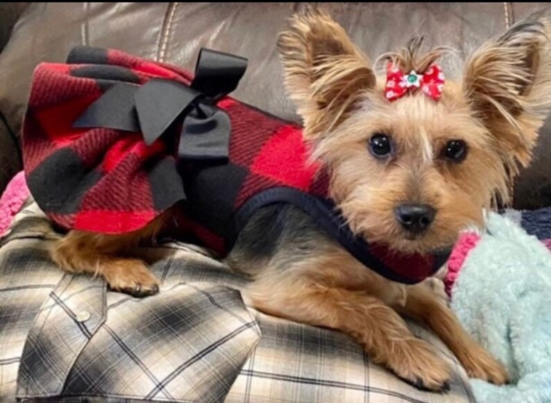 Buffalo Check Fleece Small Dog Ruffle Harness Dog Harnesses - Etsy