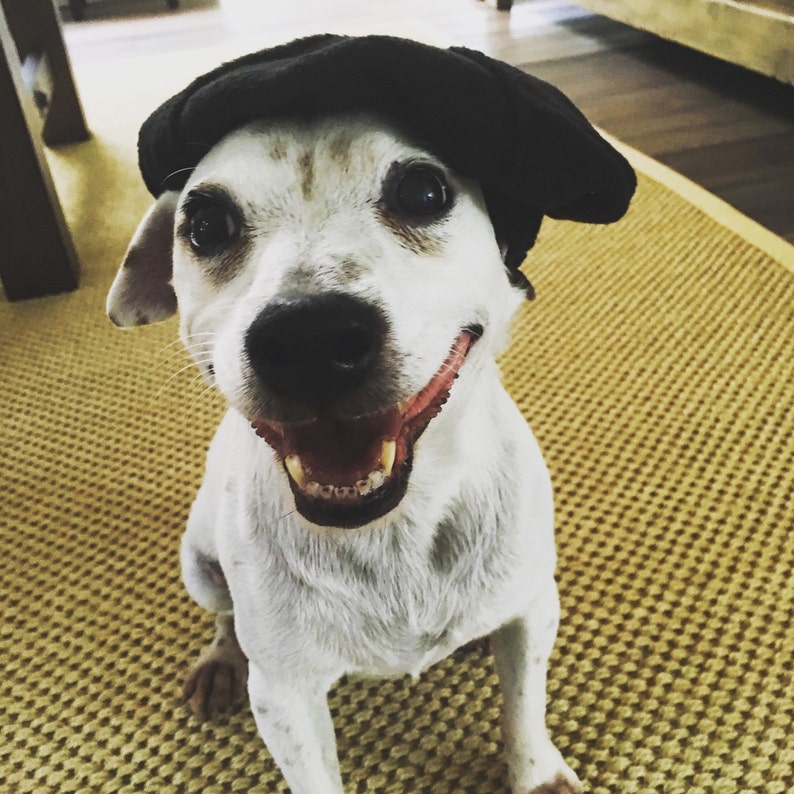 Dog Beret Only Any Color with contrast button and stitching | Etsy