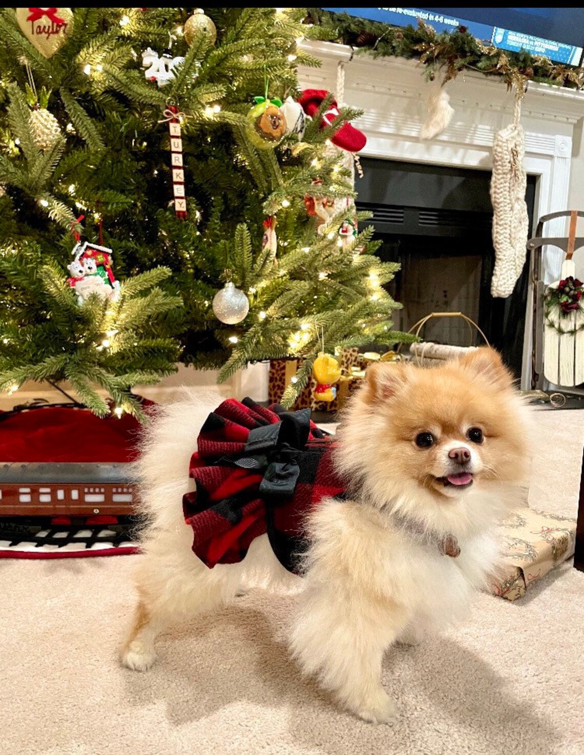 Buffalo Check Fleece Small Dog Ruffle Harness Dog Harnesses - Etsy