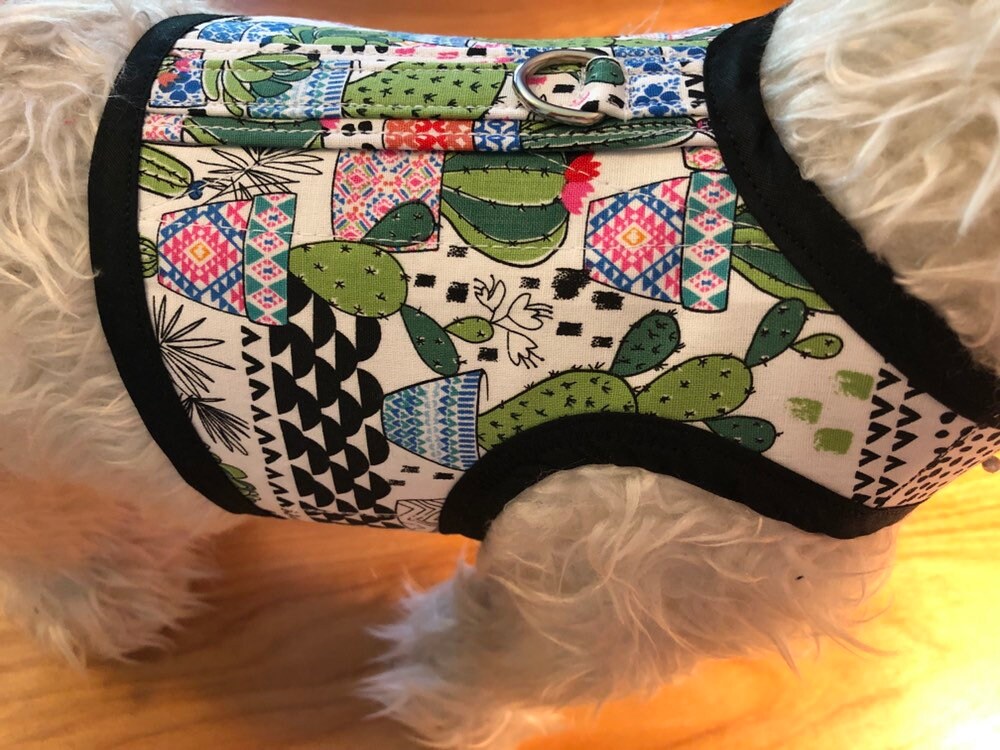 Cactus Small Dog Harness Made in USA | Etsy