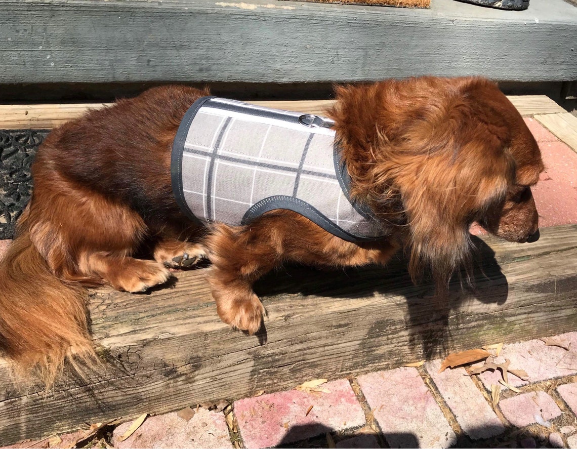 Window Pane Plaid Small Dog Harness Made in USA, Dog Harnesses, Pet ...