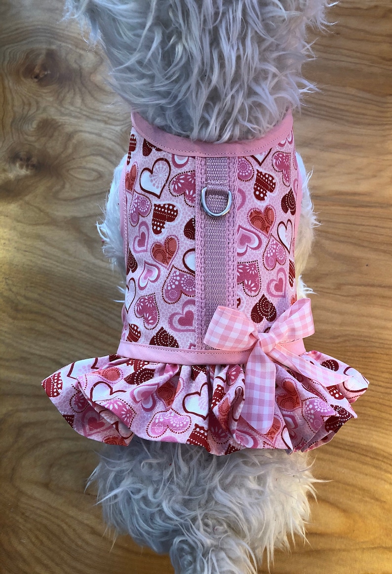 Valentine Pink Hearts Small Dog Ruffle Harness Dog Harnesses - Etsy