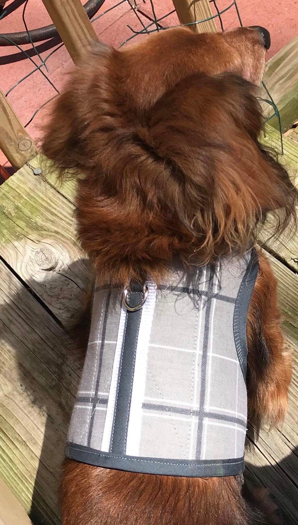 Window Pane Plaid Small Dog Harness Made in USA, Dog Harnesses, Pet ...