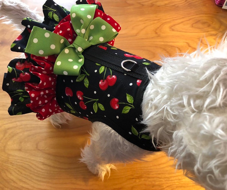 Retro cherry double Ruffle Small Dog Harness Made in USA | Etsy