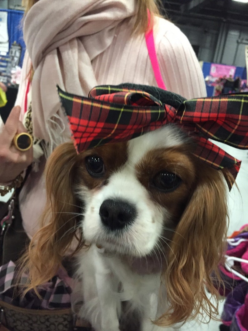 Black Fleece Dog Beret with red plaid bow Hats for dogs Dog | Etsy