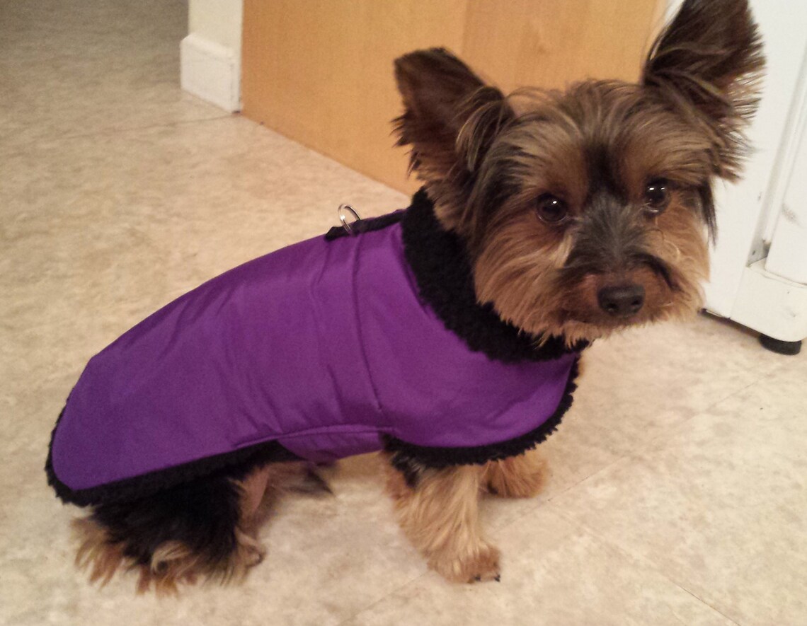 Purple Waterproof Insulated Breathable Sherpa Lined Dog | Etsy