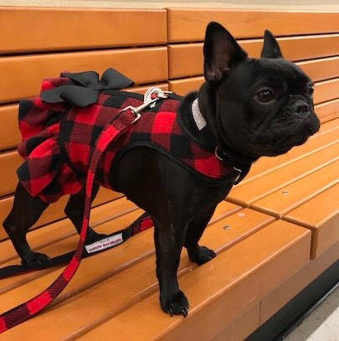 Buffalo Check Fleece Small Dog Ruffle Harness Dog Harnesses - Etsy